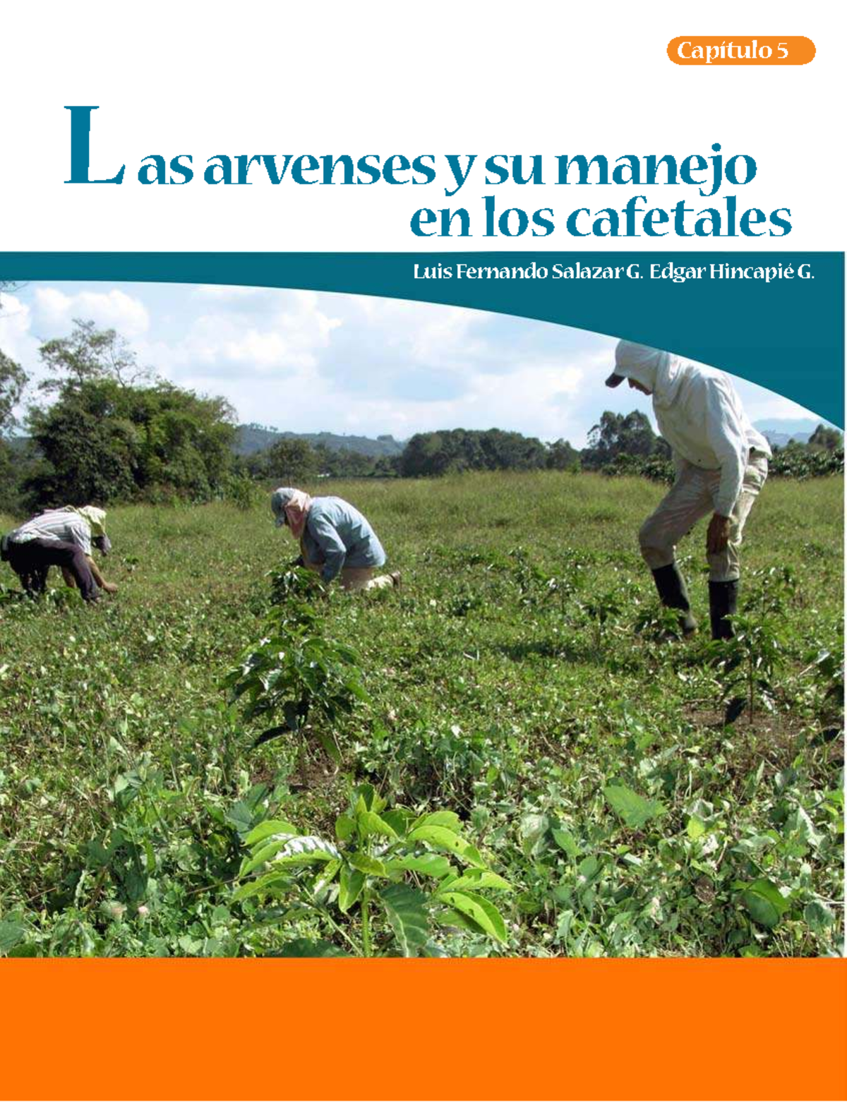 Capítulo 5: Manejo de Arvenses en Cafetales - Sistemas de Producción de ...