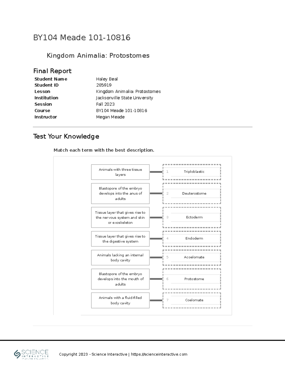BY104 Meade 101- Final Lesson Notes on Kingdom Animalia: Protostomes ...