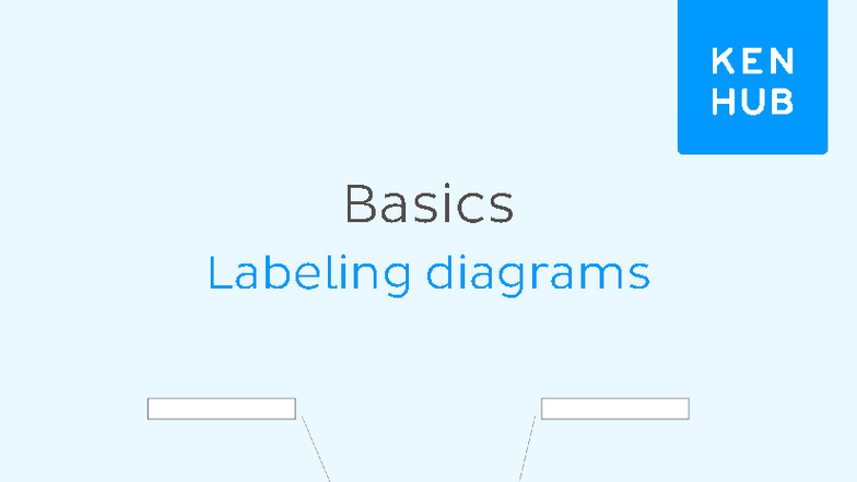 Oefeningen Anatomie: Labeling Diagrams & Worksheets - Studocu
