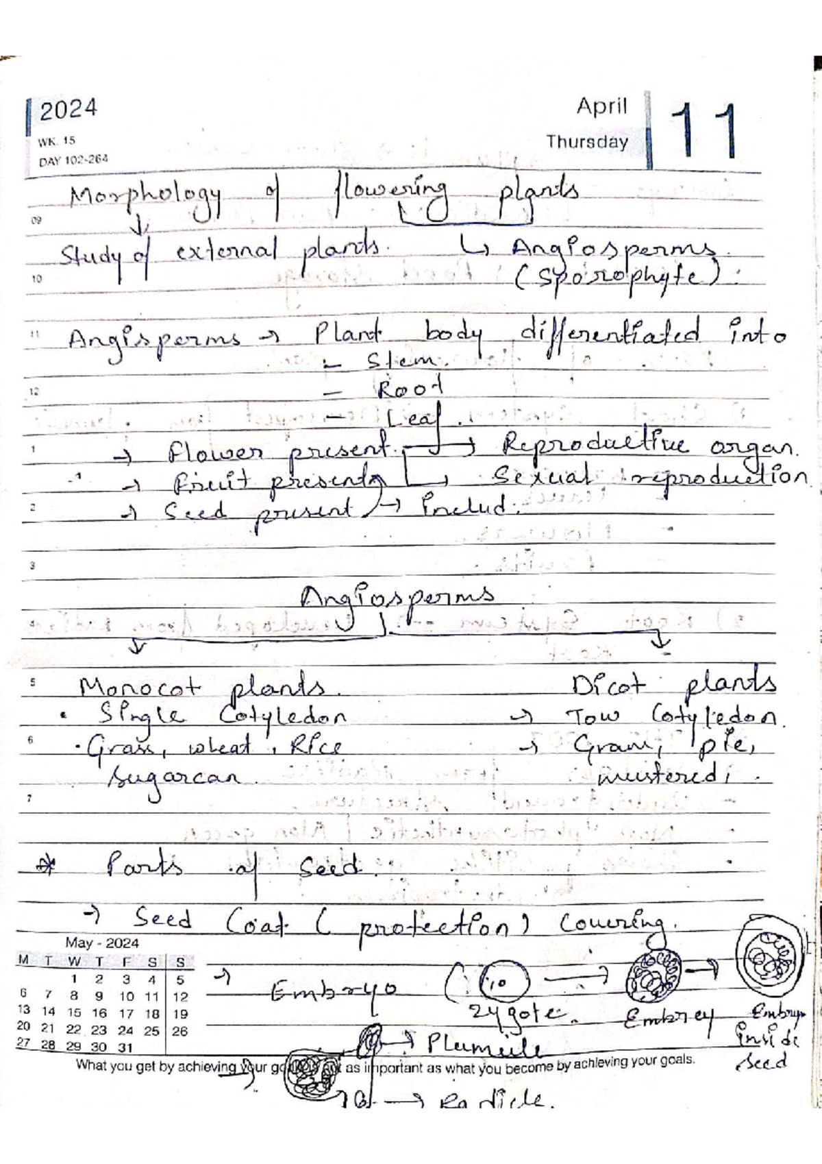 Floriculture Study Notes - SEC 2024: Morphology of Flowering Plants ...