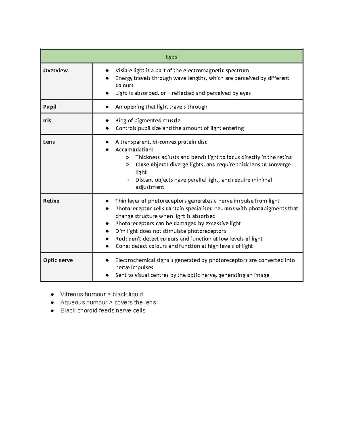 Biology 101: Overview of the Human Eye Structure and Function - Studocu