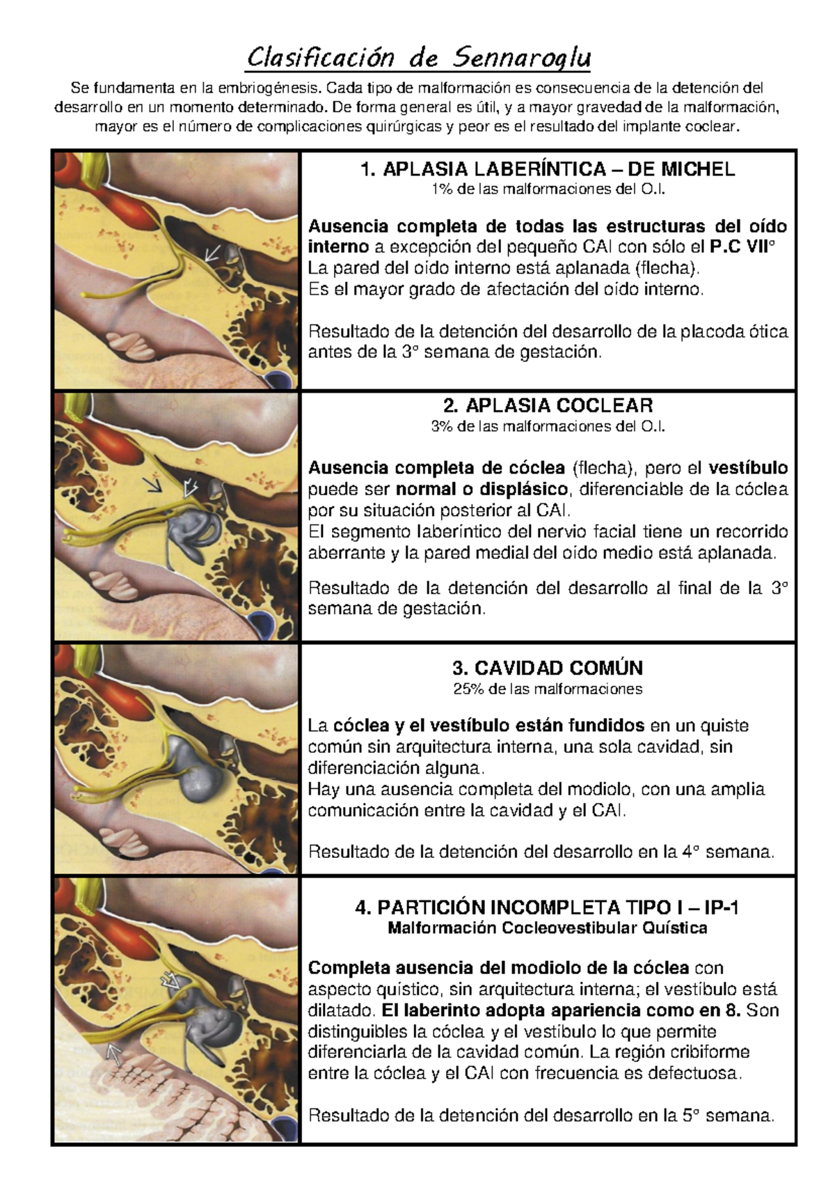 Sennaroglu - Clasificación - ClasificaciÛn de Sennaroglu Se fundamenta en la embriogénesis. Cada ...