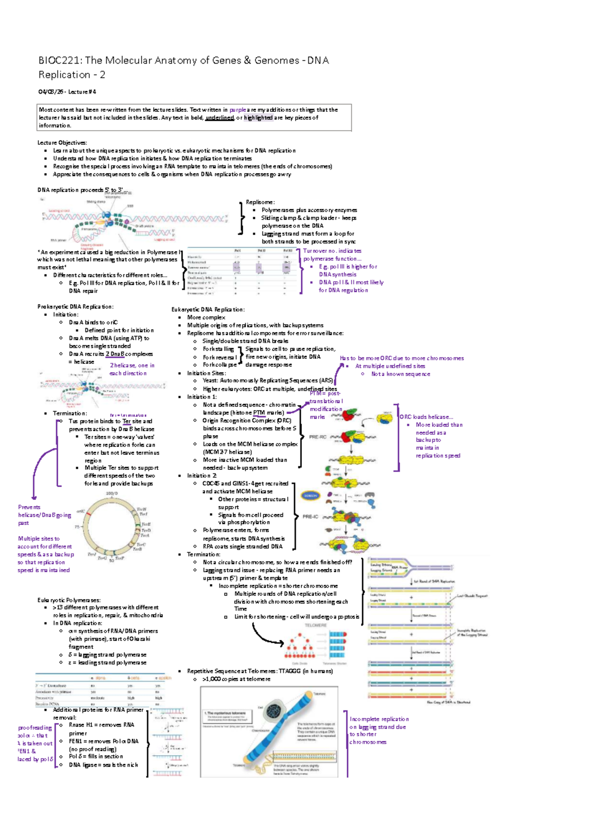 BIOC221 Lecture 4: DNA Replication Overview - Studocu