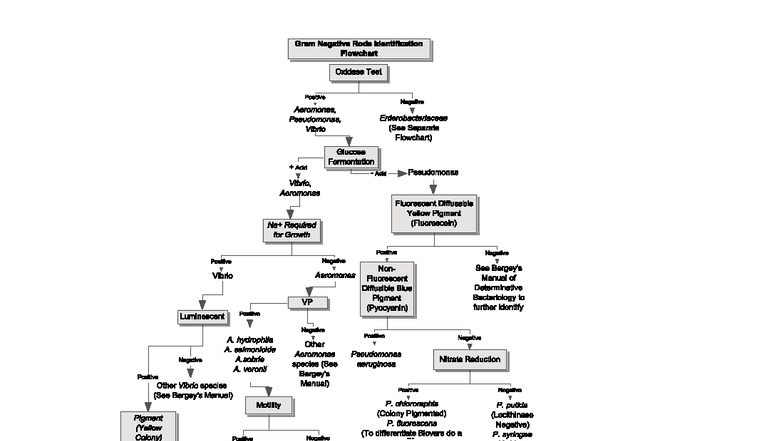 5.1.5 - Gram Negative Rods Identification Flowchart and Tests - Studocu