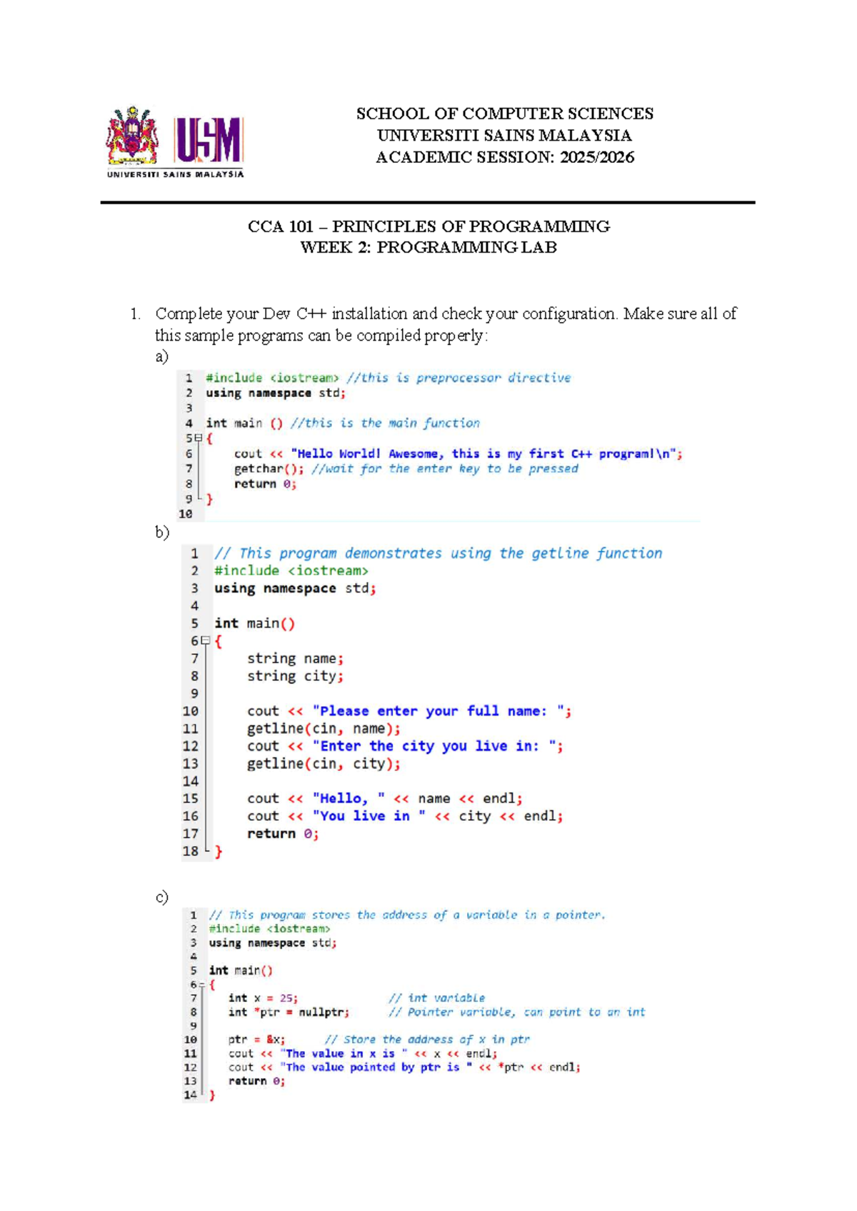 CCA 101 Programming Lab 1: Basic C++ Installation & Code Explanation - Studocu