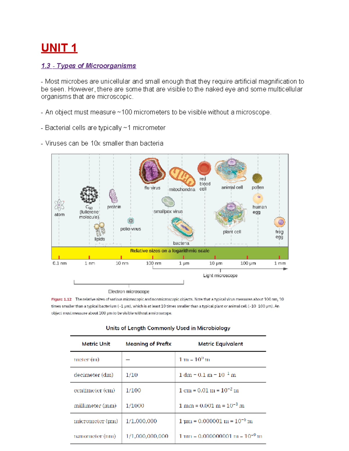 UNIT 1 - Microorganisms, viruses, etc - UNIT 1 1 - Types of ...