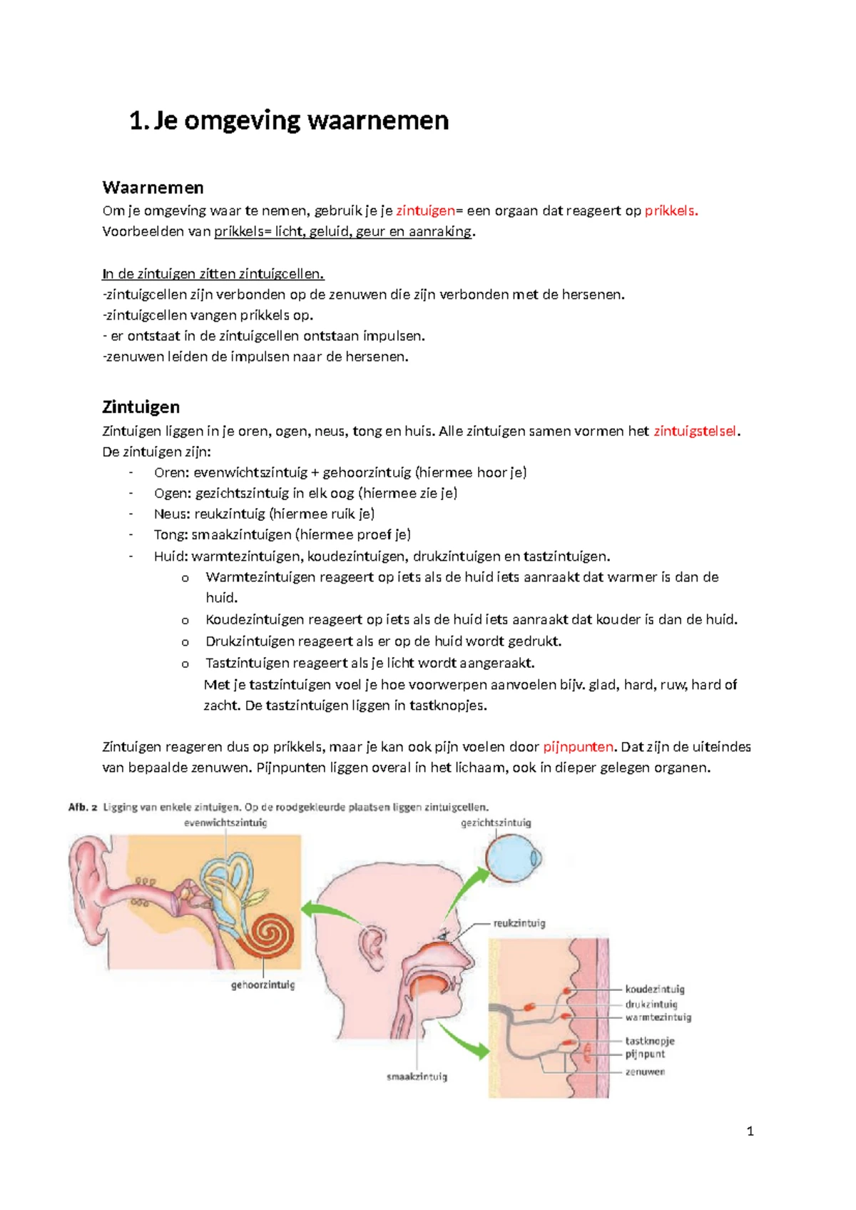 Biologie samenvatting - Hoofdstuk 6: Bloemen, Bestuiving en Voortplanting - Studeersnel