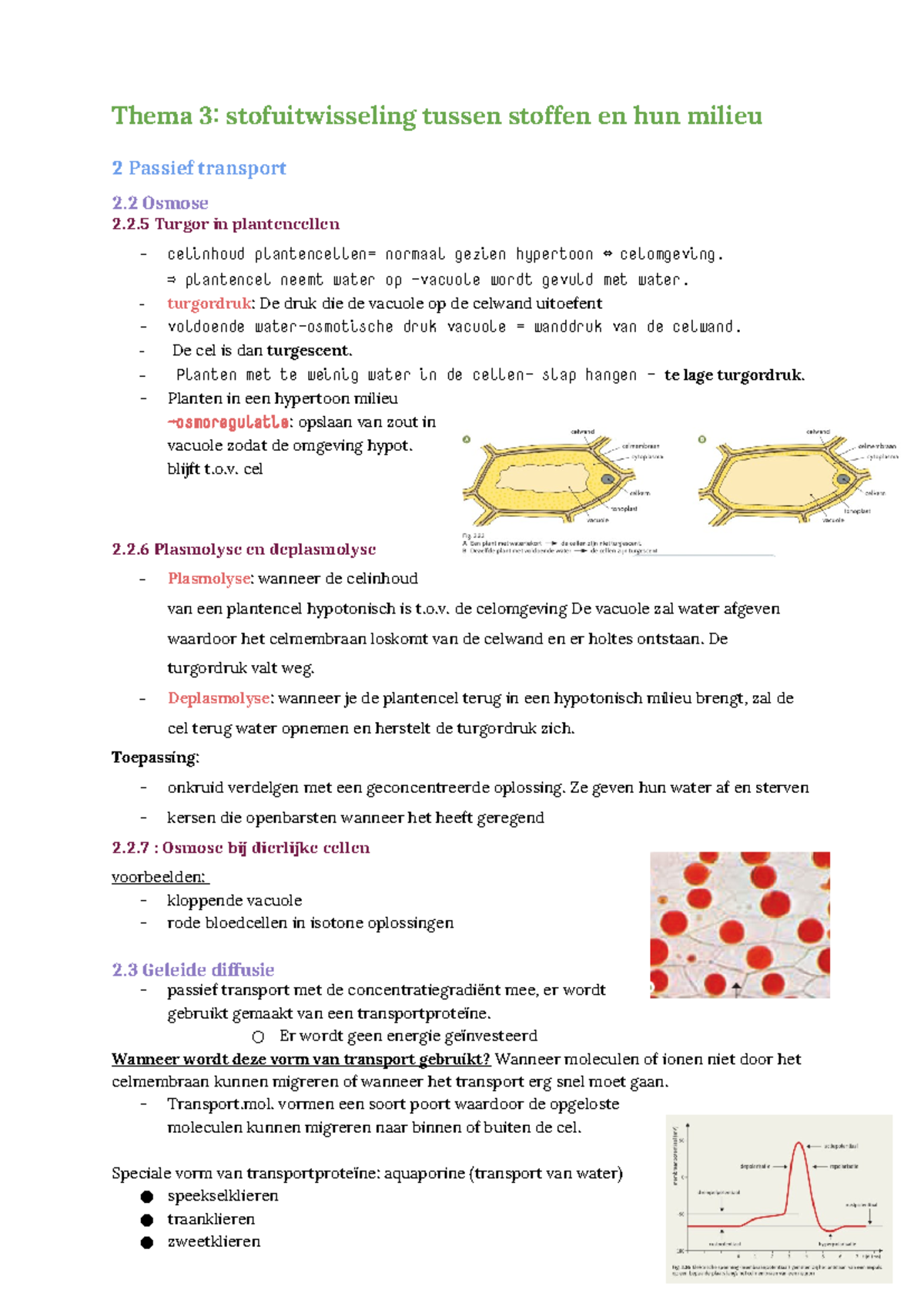 BIO 6e - Theoretisch Examen: Stofuitwisseling en Transportprocessen ...