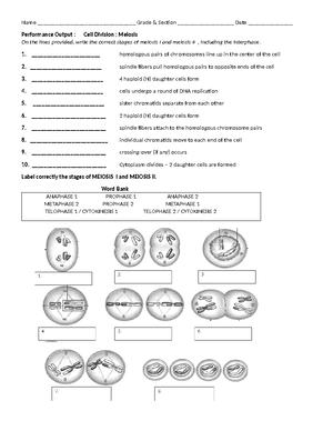 Meiosis - Handouts - Copy - WEEK 3 - Lesson Overview – MEIOSIS - Studocu