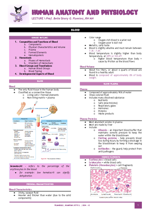 BSN 1 Anatomy and Physiology Prelims: Structural Overview and Key Concepts - Studocu