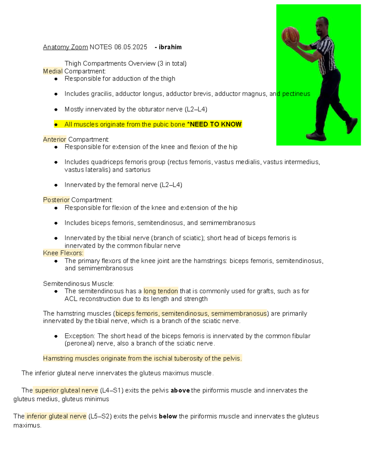 Anatomy and Function of Key Muscles: Neurology & Biomechanics Notes ...