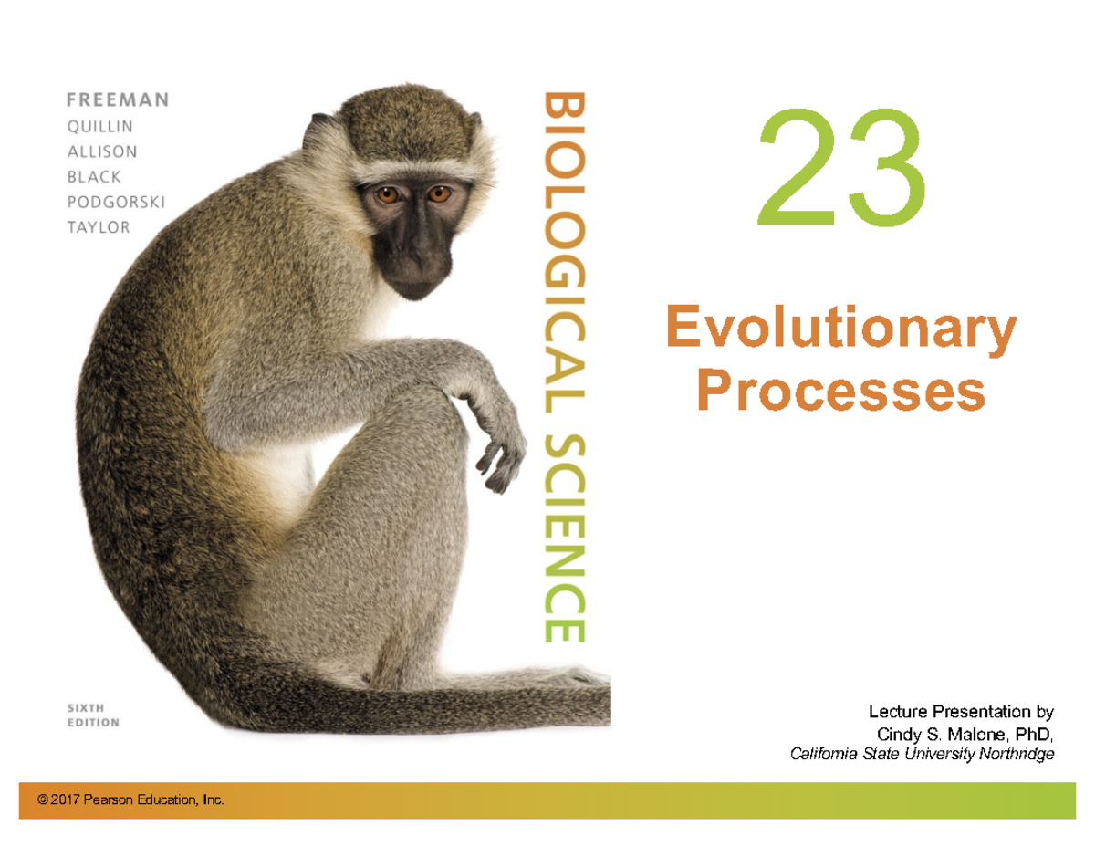 Chapter 23: Evolutionary Processes and Genetic Variation Analysis - Lecture Presentation by ...