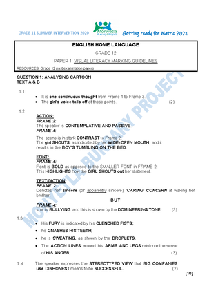 Guidelines on Visual literacy - ENGLISH HOME LANGUAGE GRADE 12 PAPER 1 ...