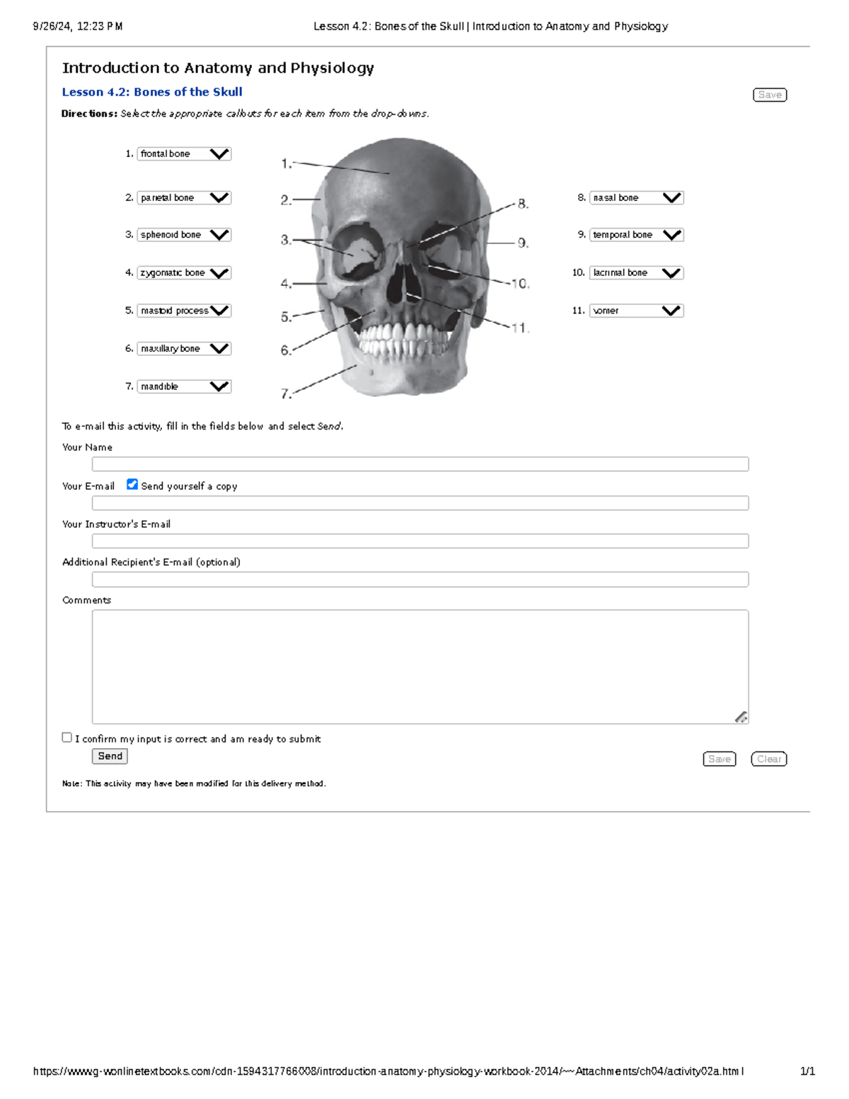 Lesson 4.2: Bones of the Skull - Intro to A&P Activities - Studocu