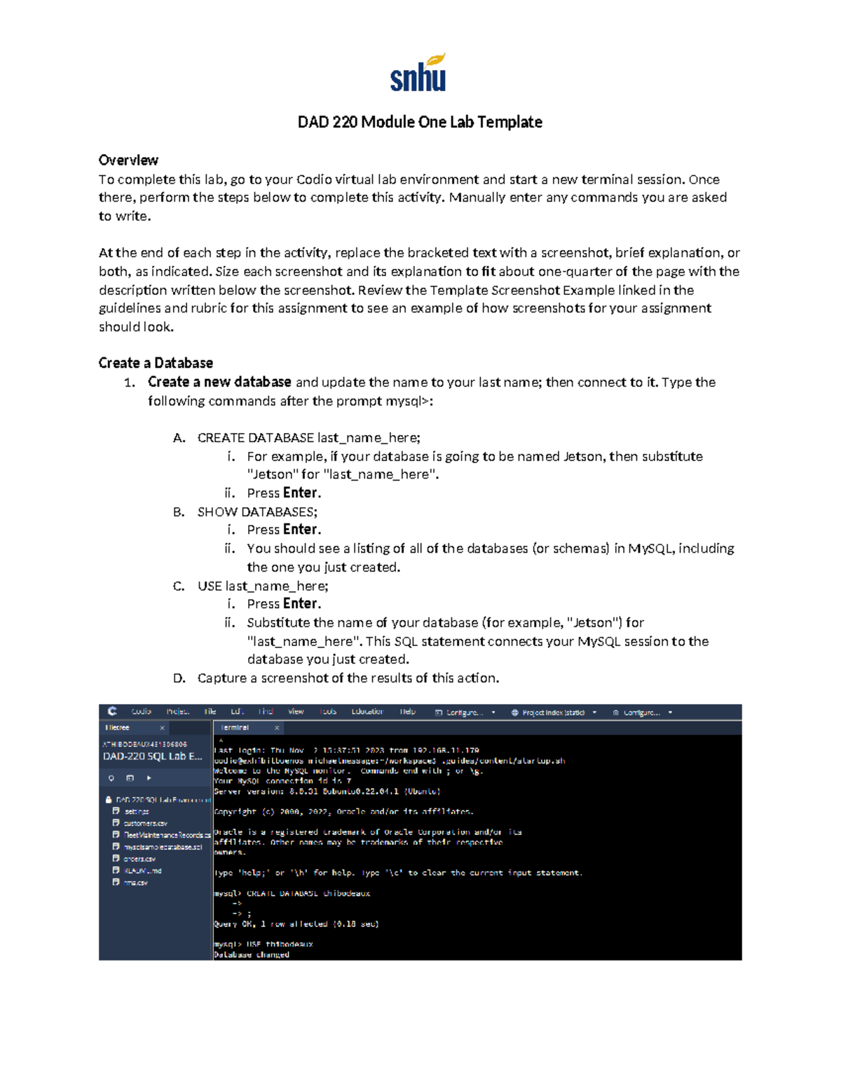 Module One 1-4 Lab - DAD 220 Module One Lab Template Overview To complete this lab, go to your ...