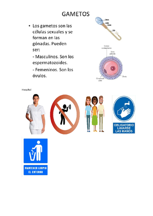 DPCC - texto - “DPCC: Formando ciudadanos del futuro” El curso de ...