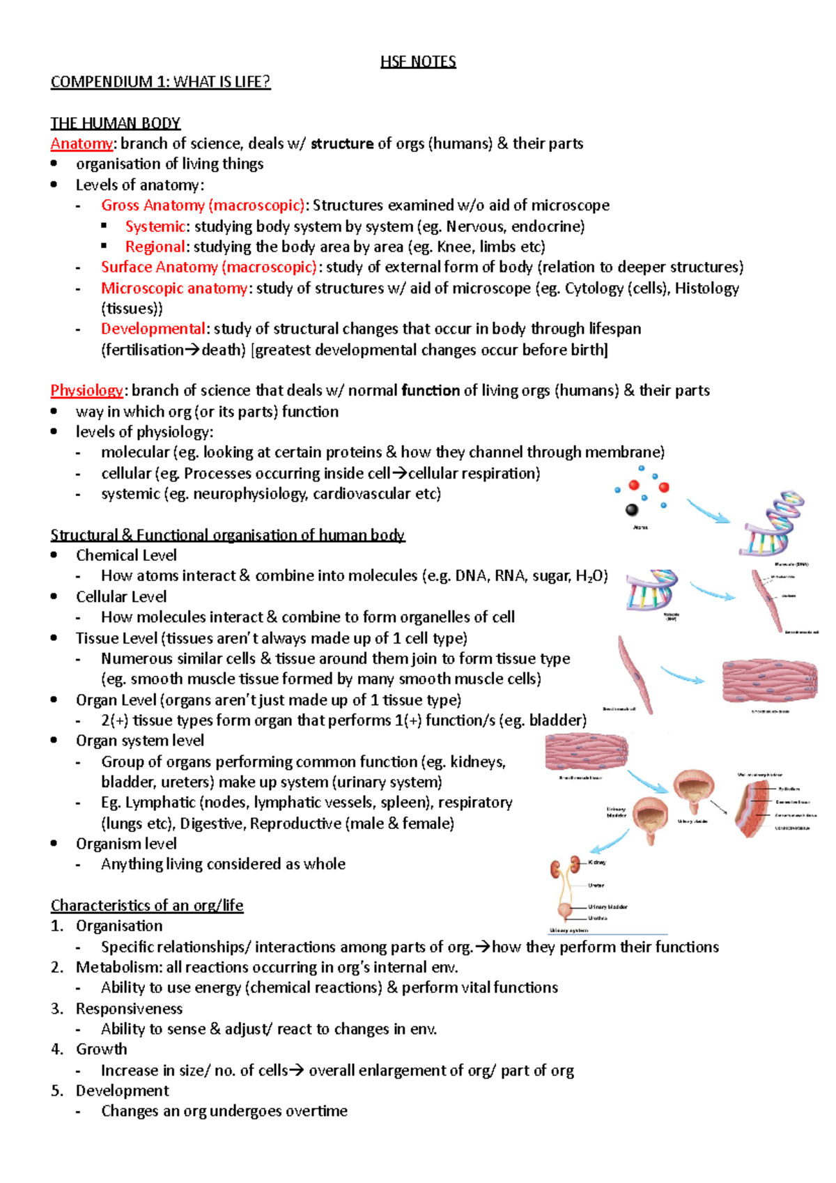 HSF Notes Compendium: Life, Anatomy, and Cell Function Insights - Studocu