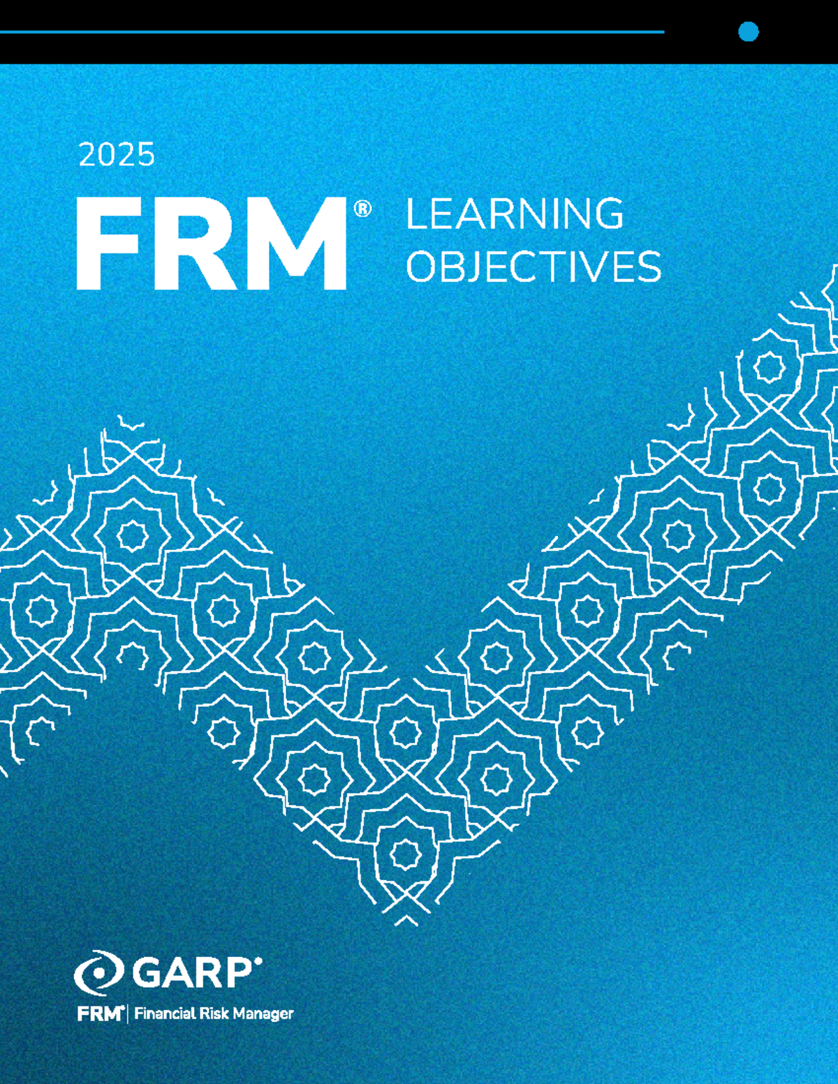 FRM 2025 Learning Objectives: Foundations, Quantitative Analysis & Risk ...