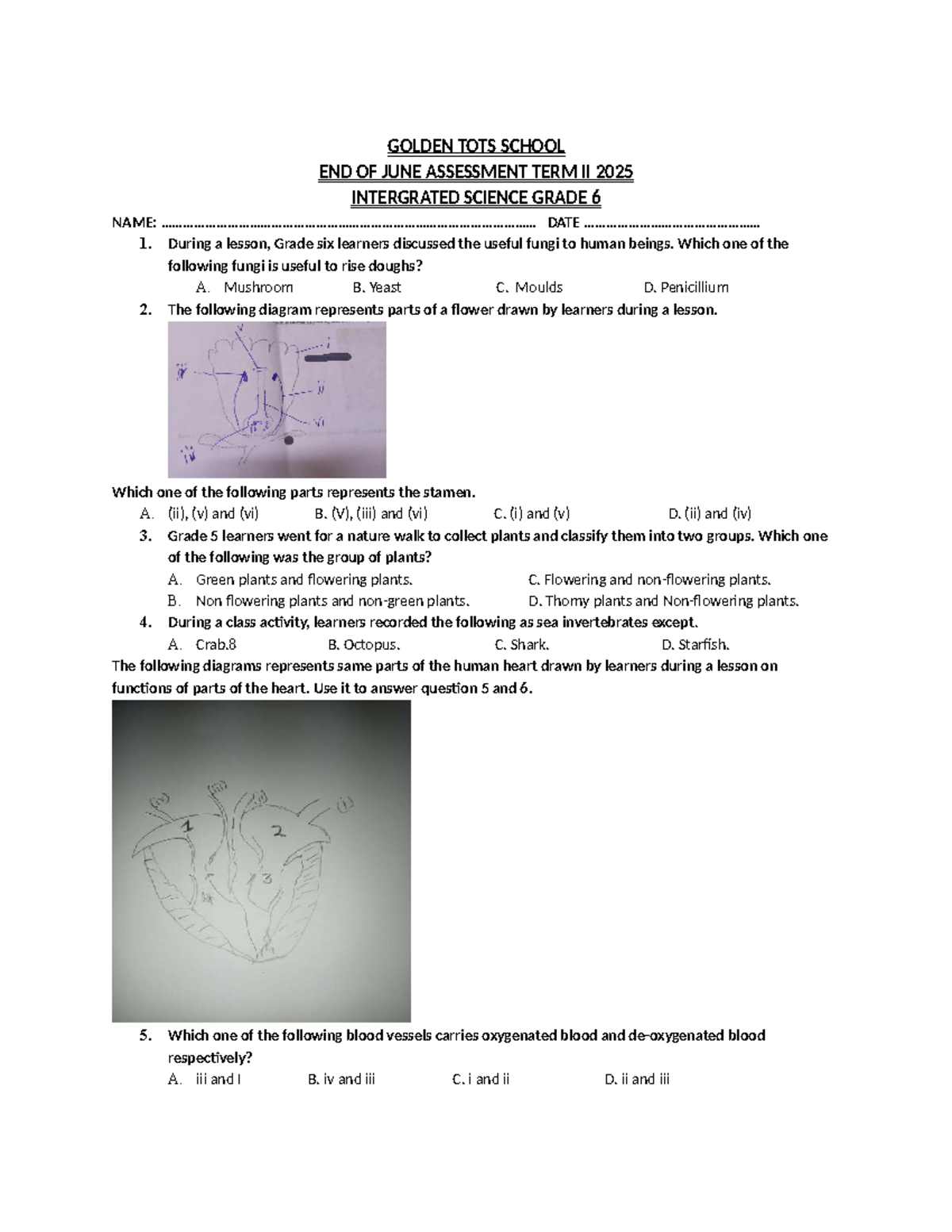 Integrated Science G6 Term II Assessment - June 2025 - Studocu