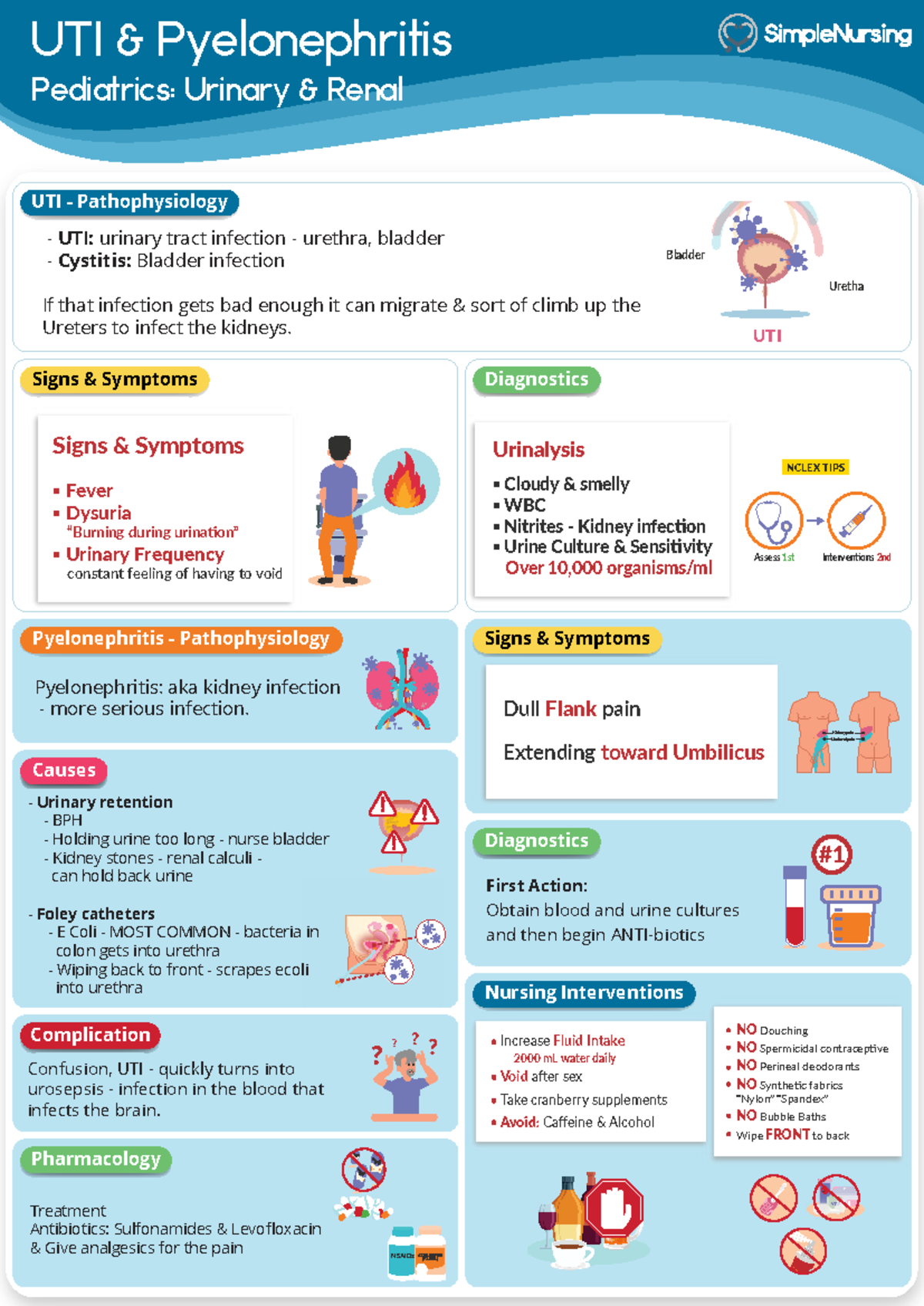 PEDS 101: UTI & Pyelonephritis Overview and Nursing Interventions - Studocu