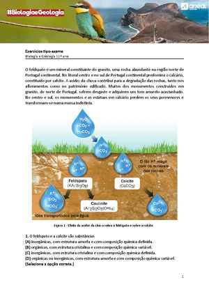 Ae bg11 rochas sedimentares - Exercícios tipo-exame Biologia e Geologia ...