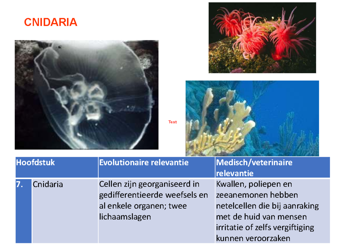 CNIDARIA Hoofdstuk 7: Structuur, Voortplanting en Habitat - Studocu