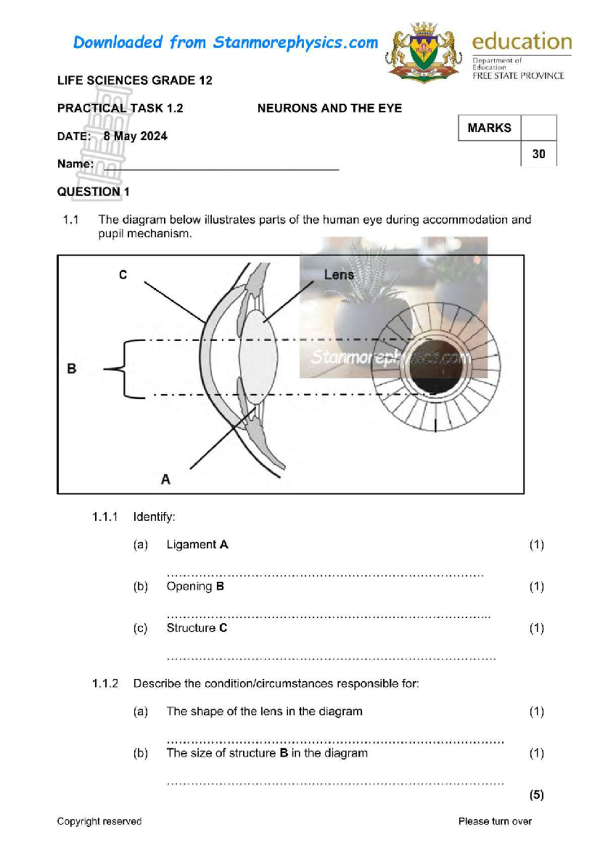FS Life Sciences Grade 12 Practical Task 1: Neurons & Eye Functions ...