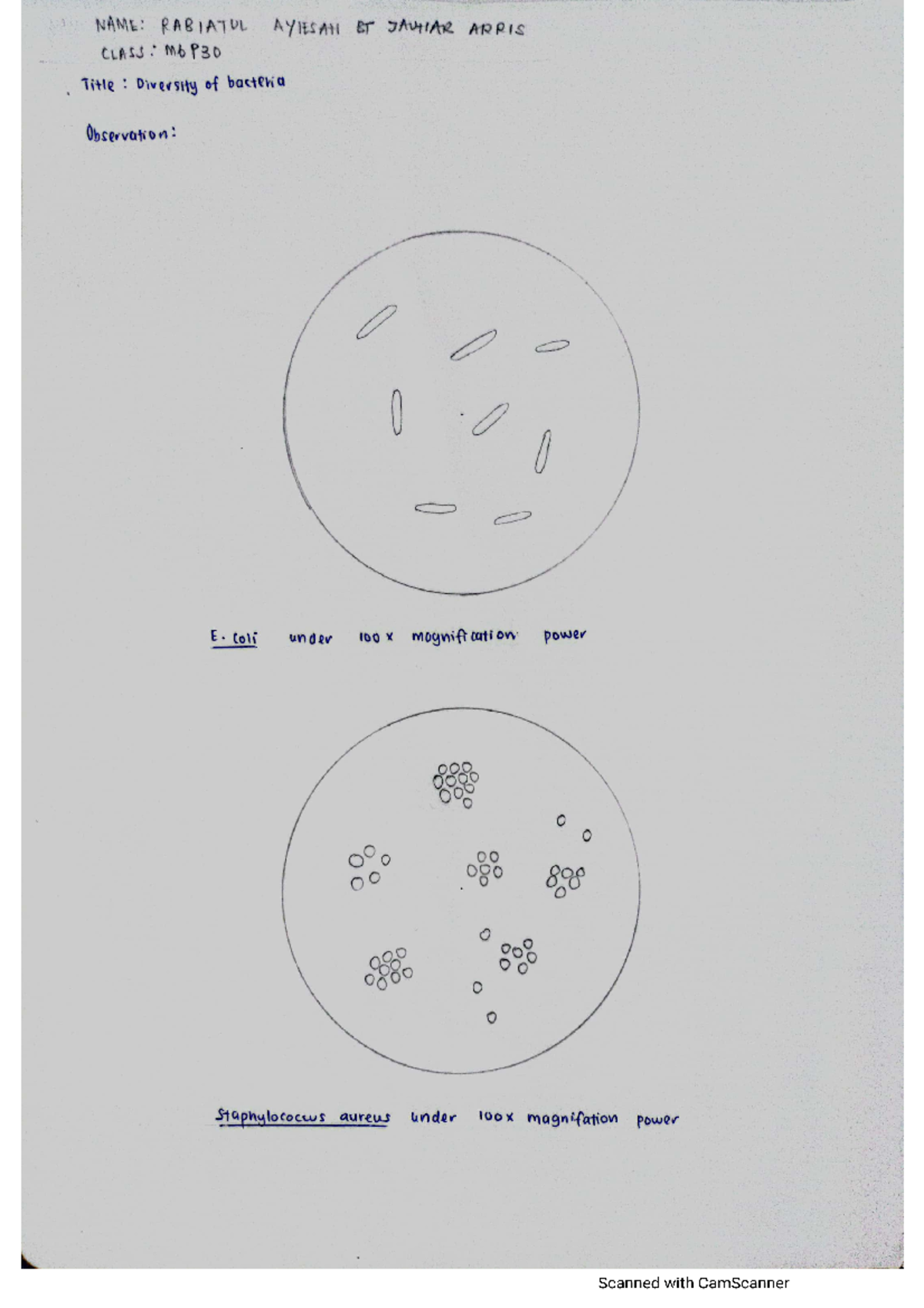 LAB Report BIO 101 - Experiment 7 Analysis and Results - Studocu