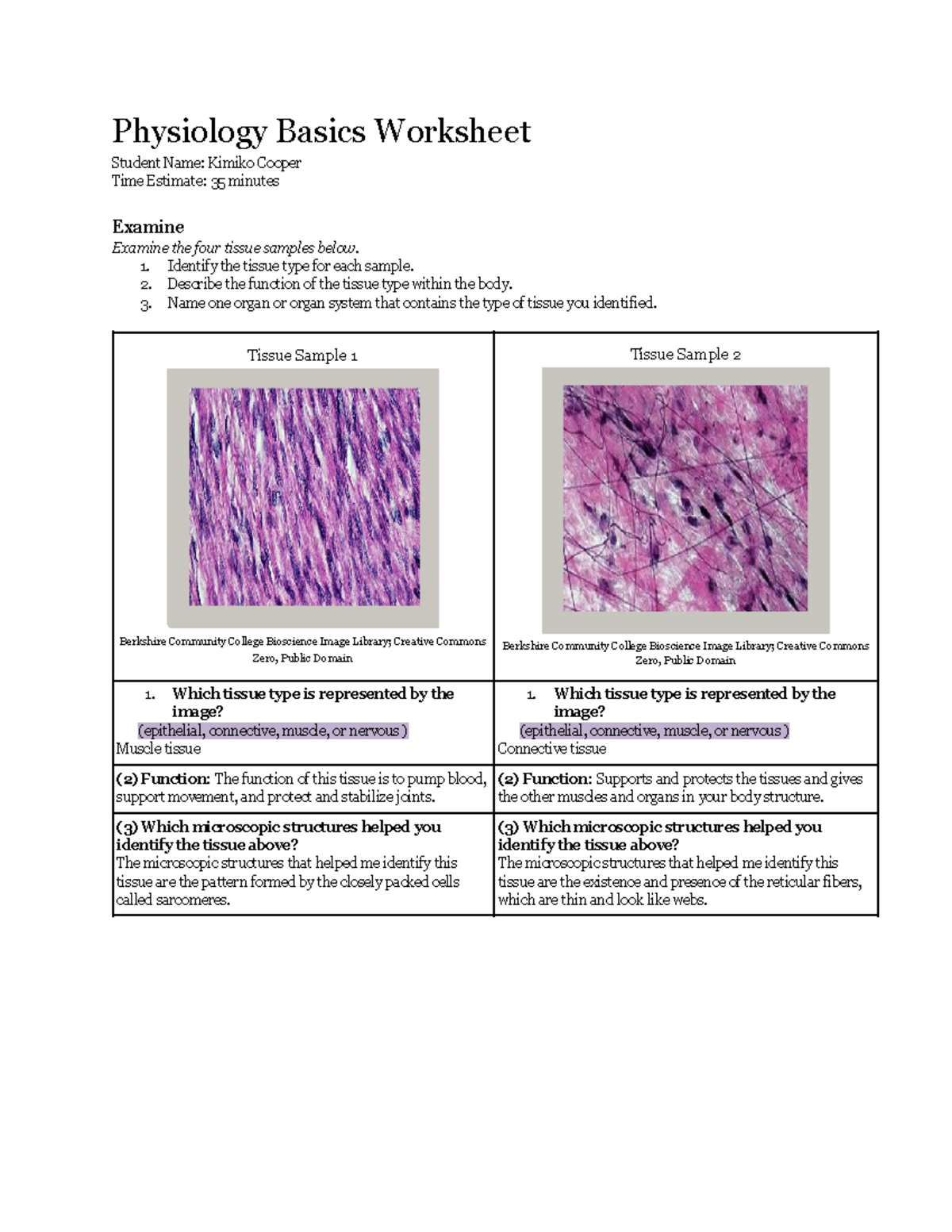 Physiology Basics Worksheet - Turn It In 01.03 Analysis and Review ...