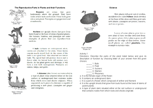 PHYSICAL SCIENCE Unit ENERGY Chapter 5: Understanding Energy Types ...