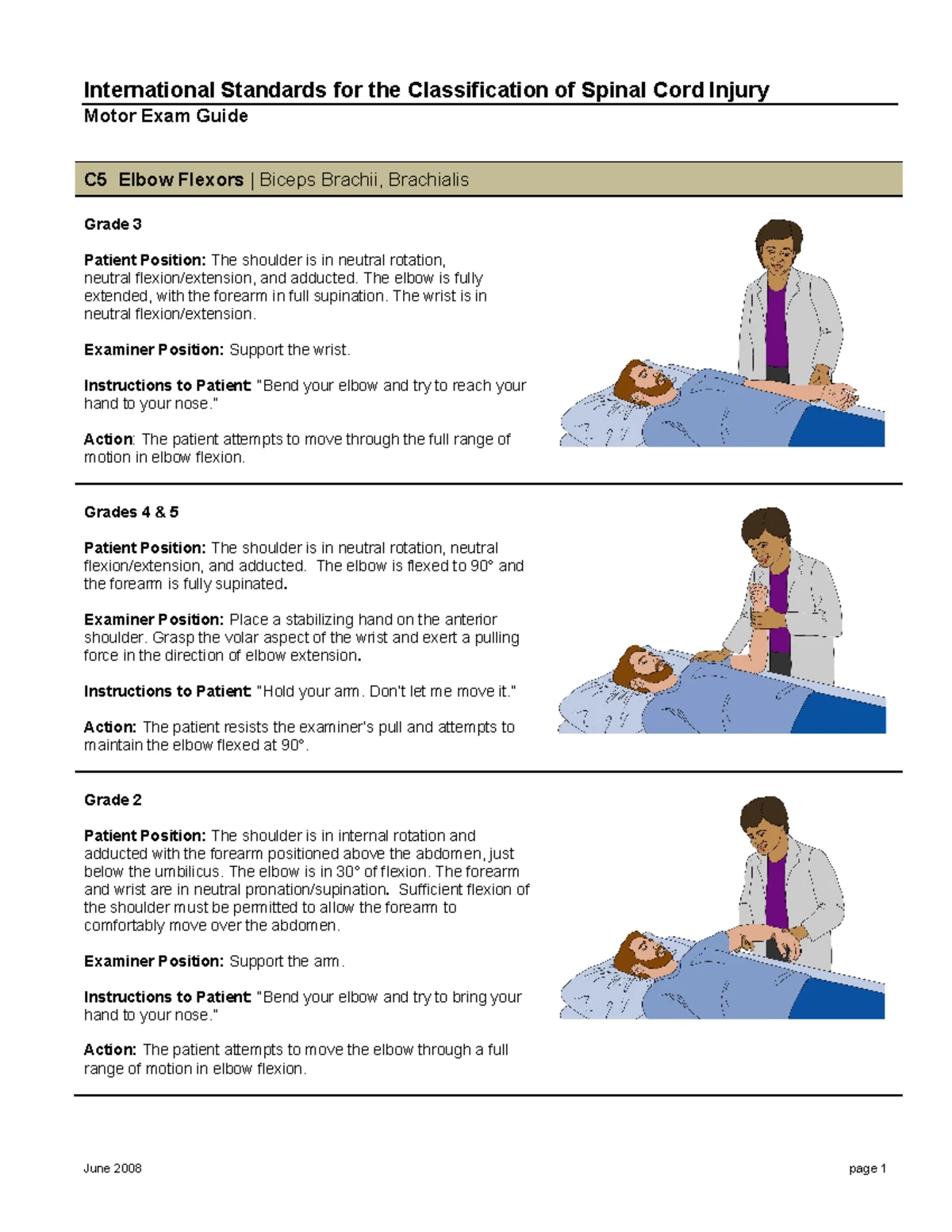 Wrist Anatomy Palpation Guide for Medical Studies: A Comprehensive ...