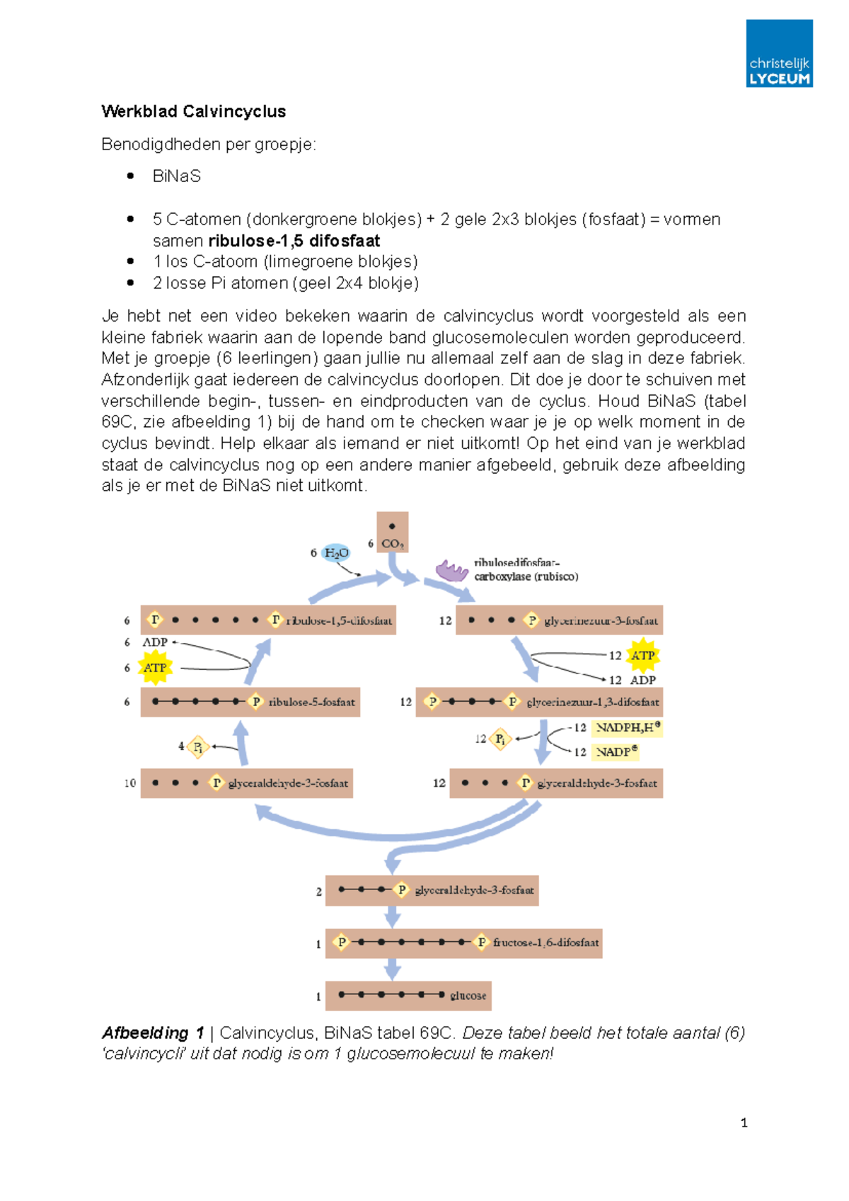 Werkblad Koolstofcyclusdiagram