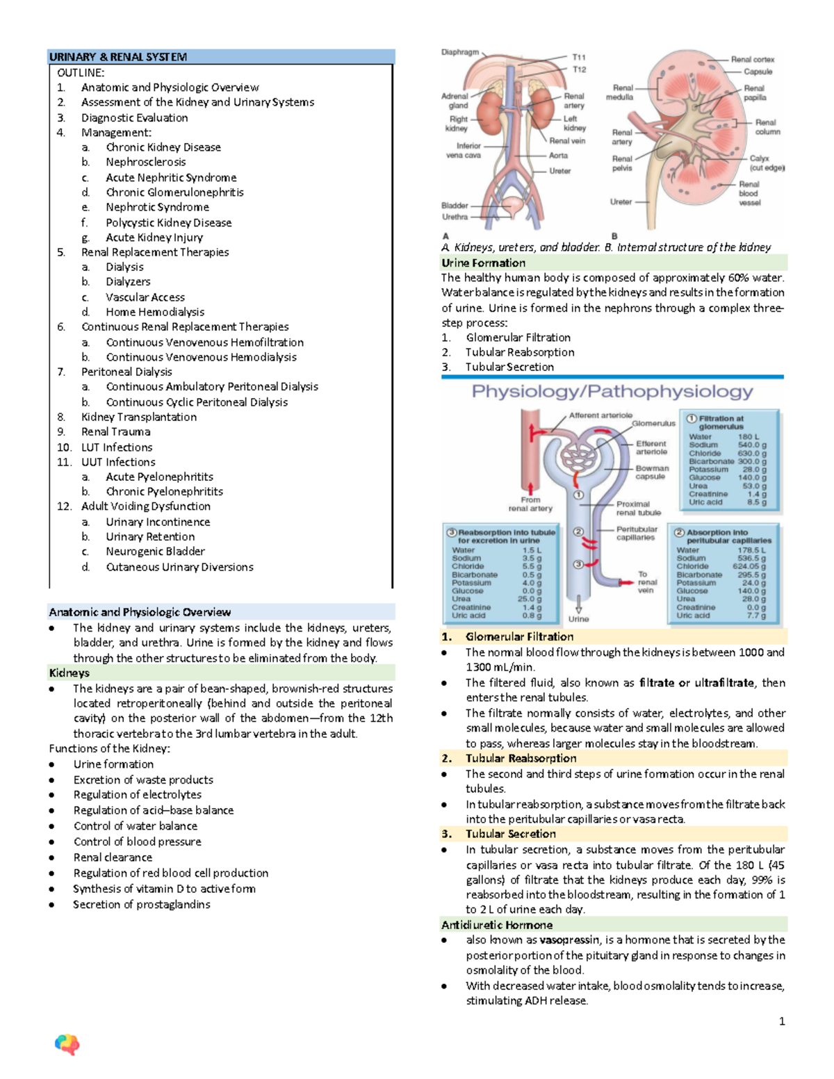 Medical Surgical Nursing (NUR 250) - Focus on Urinary & Renal Systems ...