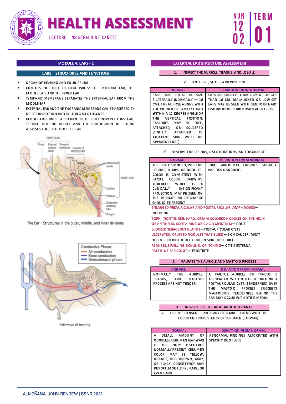 Module 4: EARS 1 - External Ear Structure Assessment Notes - Studocu