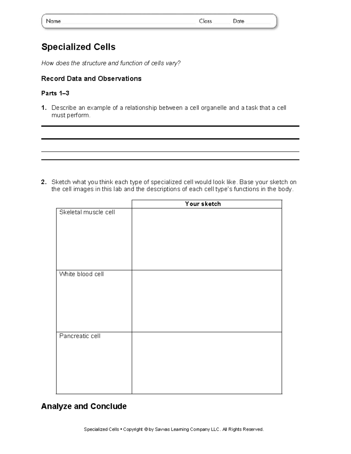 BIO CELL L02 Specialized Cells: Structure and Function Analysis WKS ...