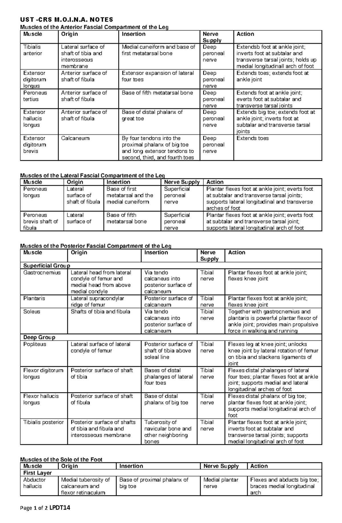 Leg Muscles - MOINA Notes (LPDT) - Studocu