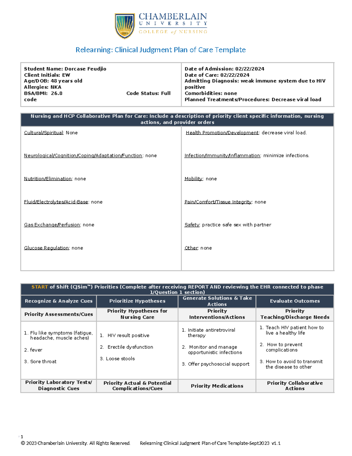 Clinical Judgment Care Plan Template for HIV Patient EW Med Surg I ...