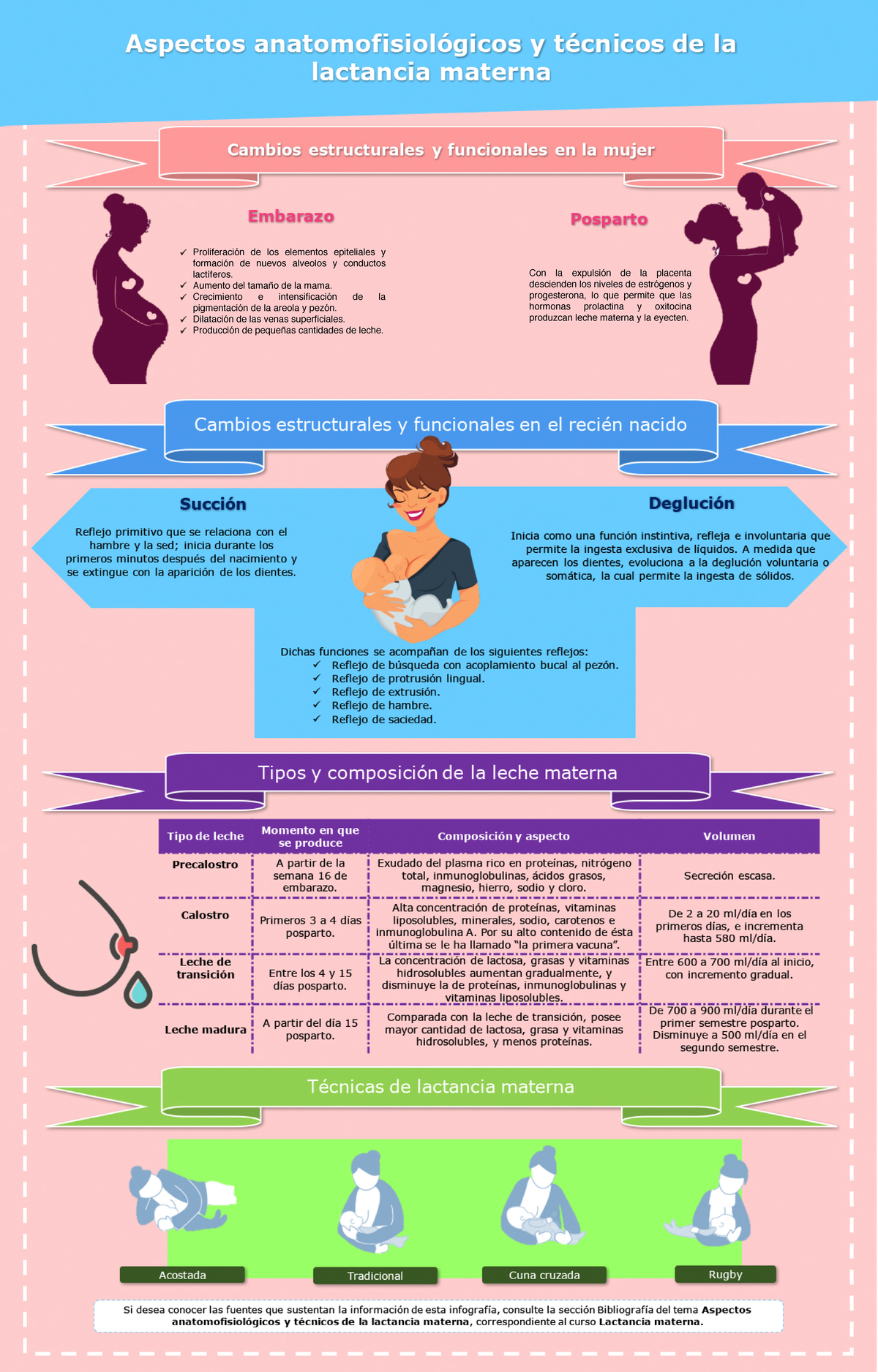 LACNTANCIA U2 T3 - medicina familiar - Proliferación de los elementos ...
