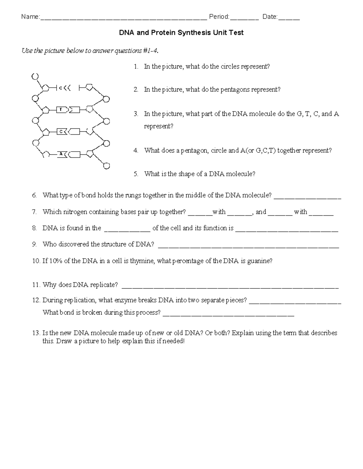 DNA and Protein Synthesis Unit Test Review Packet (H) - Studocu