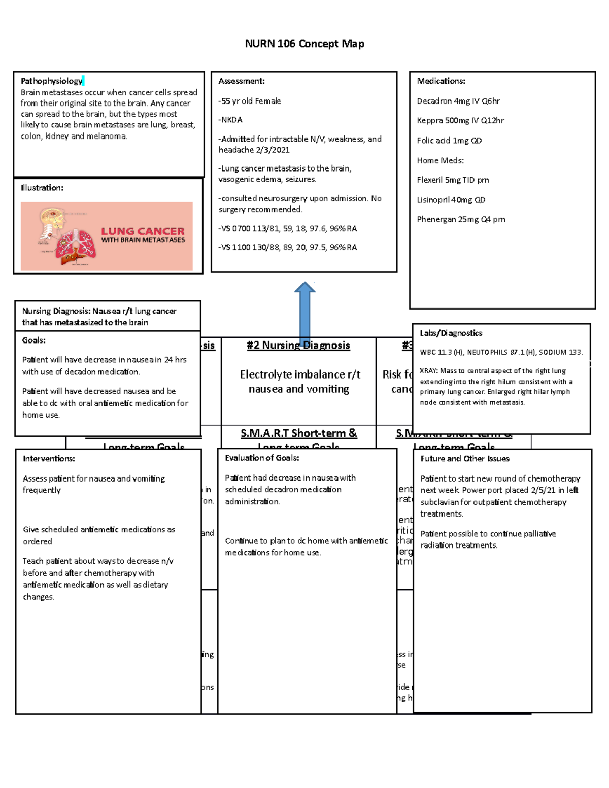 Nursing Care Plan Concept Map Everything You Should Know About Nursing