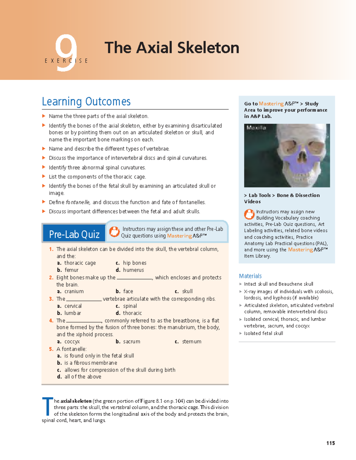 09 A&P Axial Skeleton Study Notes and Learning Outcomes - Studocu