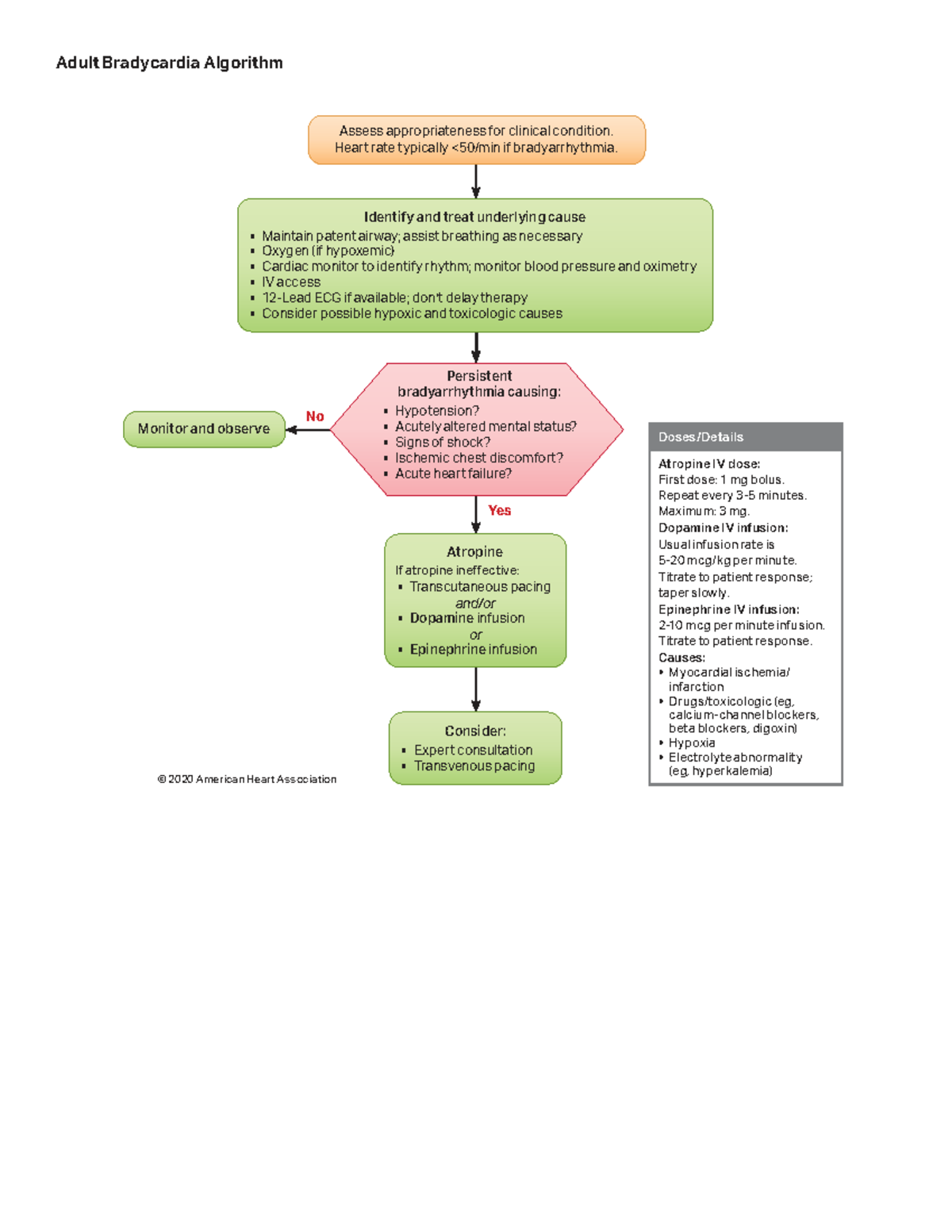 ACLS 2006: Adult Bradycardia Algorithm for Clinical Conditions - Studocu