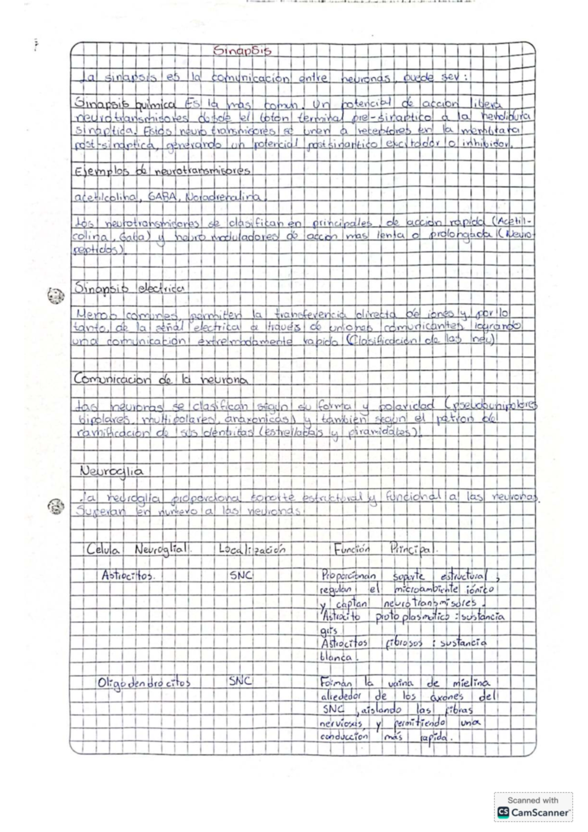 Resumen Neurona y Sinapsis - Biología 101 - Studocu