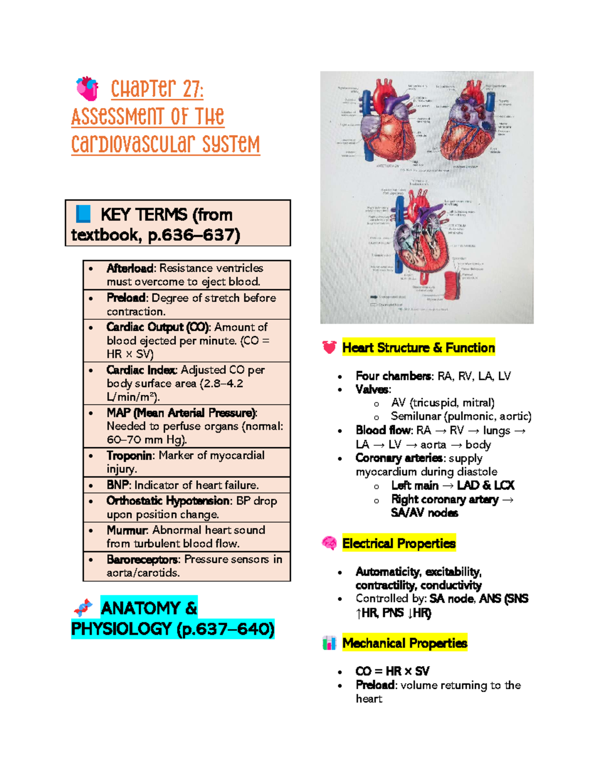 Chapter 27: Cardiovascular System Assessment Key Terms and Concepts ...
