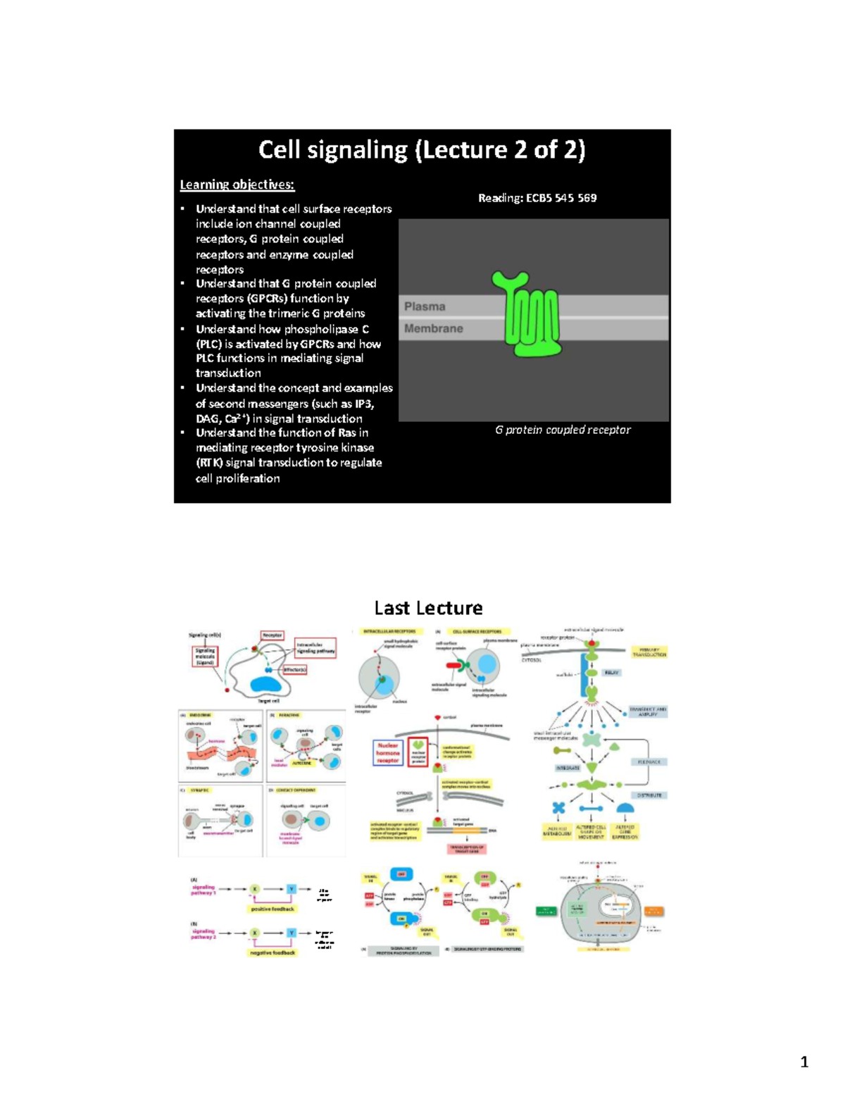 Lecture 16: Cell Signaling - GPCRs, Ion Channels, & Pathway Crosstalk - Cell signaling (Lecture ...