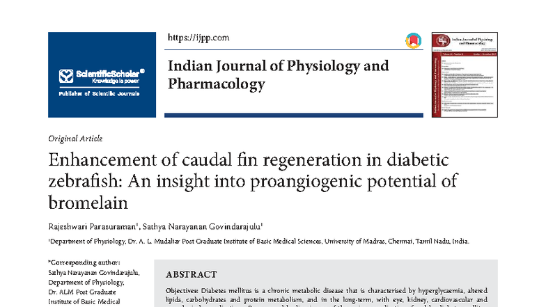 Enhancement of Caudal Fin Regeneration in Diabetic Zebrafish: Bromelain ...