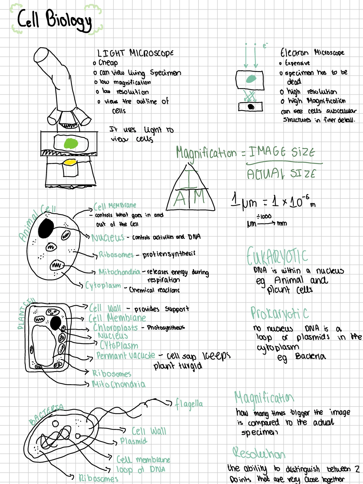 Biology - Cell Biology Overview and Microscope Techniques - Studocu
