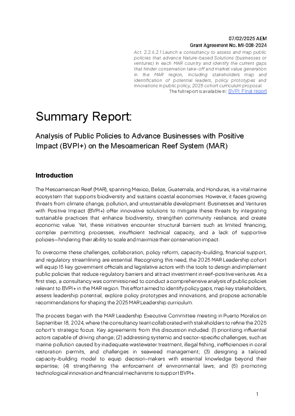 Summary Report Analysis of Public Policies to Advance BVPI in the MAR ...