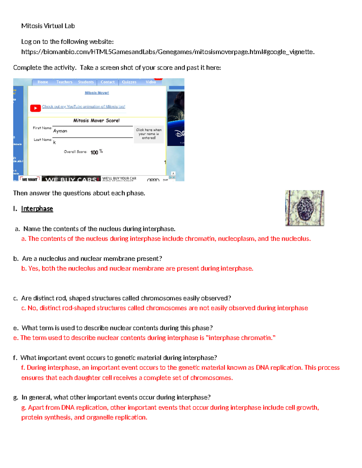 Mitosis Virtual Lab: Exploring Cell Division Phases in ...