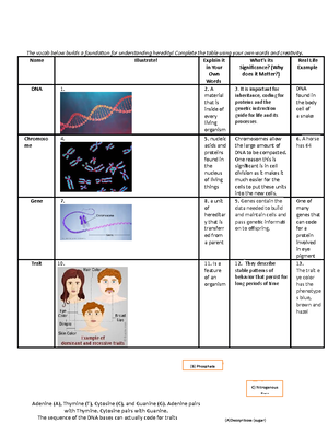 Evolution and Genetic Diversity Mechanisms: Key Concepts and Examples ...